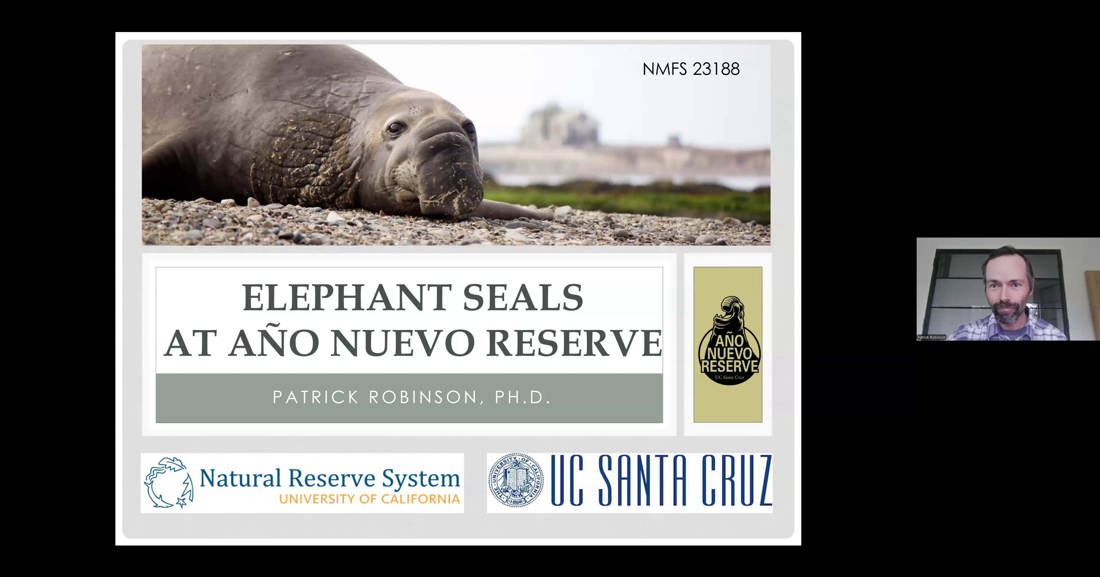 Elephant Seal Research – Speaker: Dr. Patrick Robinson